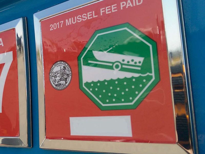 Yearly State Registration Sticker Frame Emblem Set 3"x 3" – 3D ...